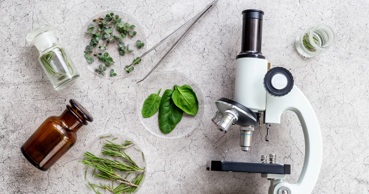 Discover Comprehensive Testing Services – Ensure Quality Today!
